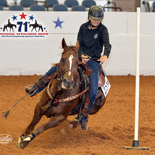 Riding Lessons in Jacksonville, FL - Riding, Training, Showing and ...