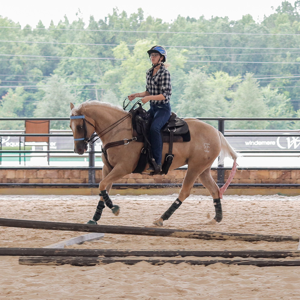 Riding Lessons in Jacksonville, FL - Riding, Training, Showing in N ...